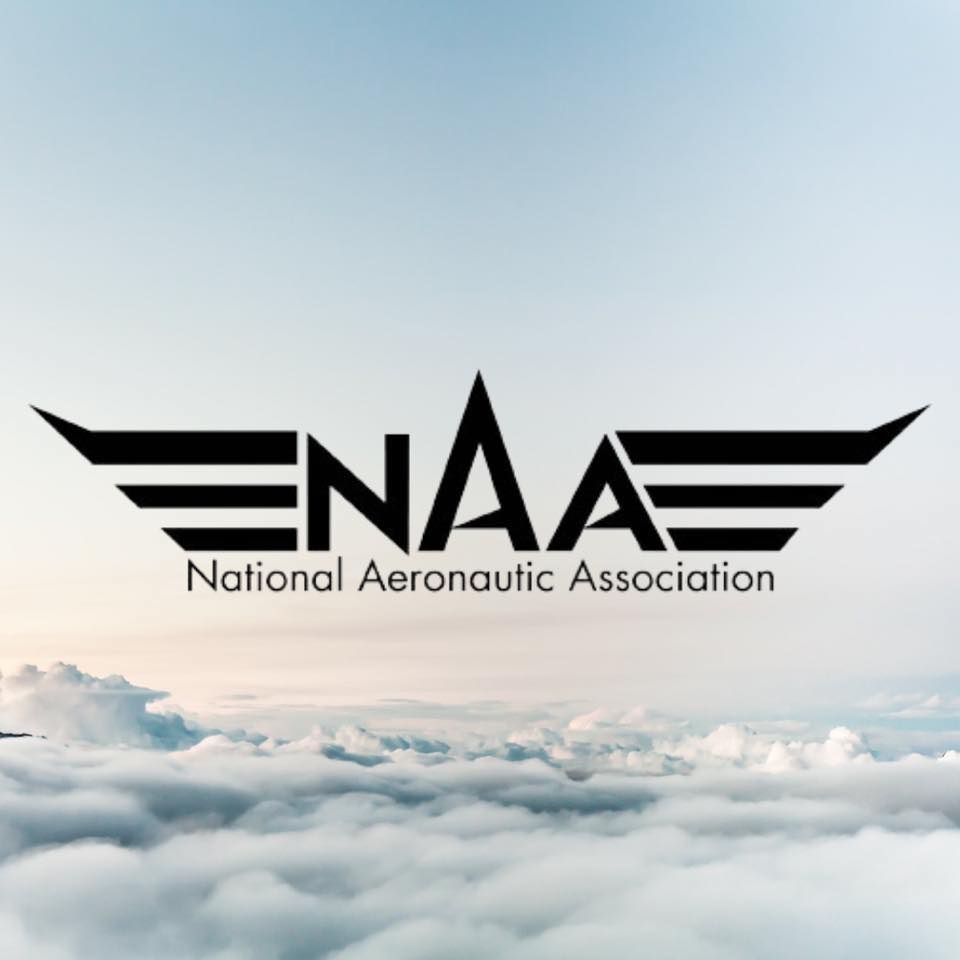 NAA Announces Return of Record Celebration - SUN 'n FUN Digital Daily